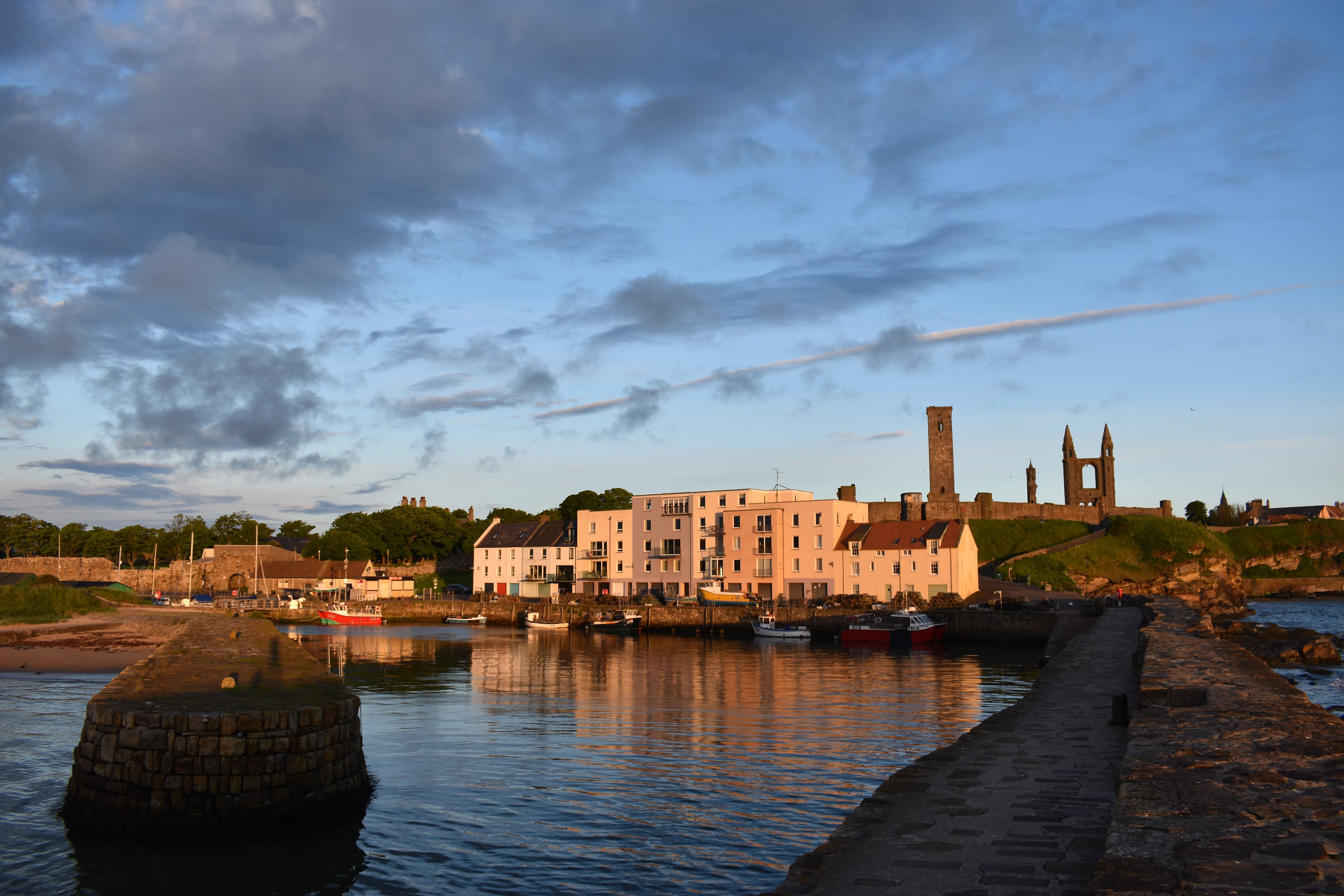 Talks and Presentations – Elizabeth Ward